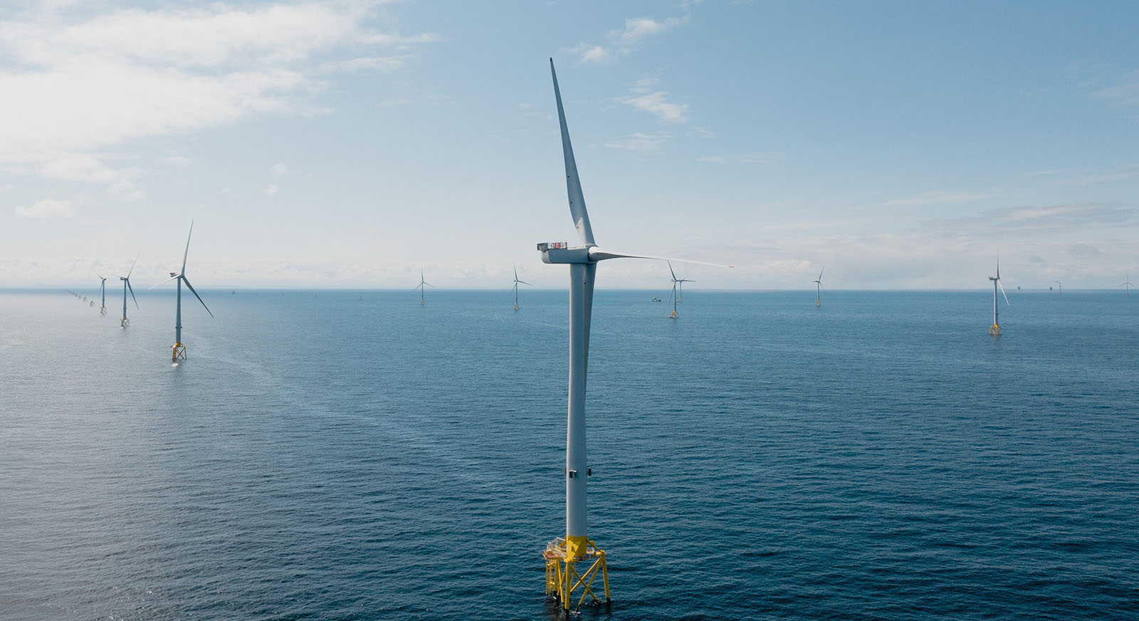 Caledonia’s bird data in the top flight - Caledonia Offshore Wind Farm